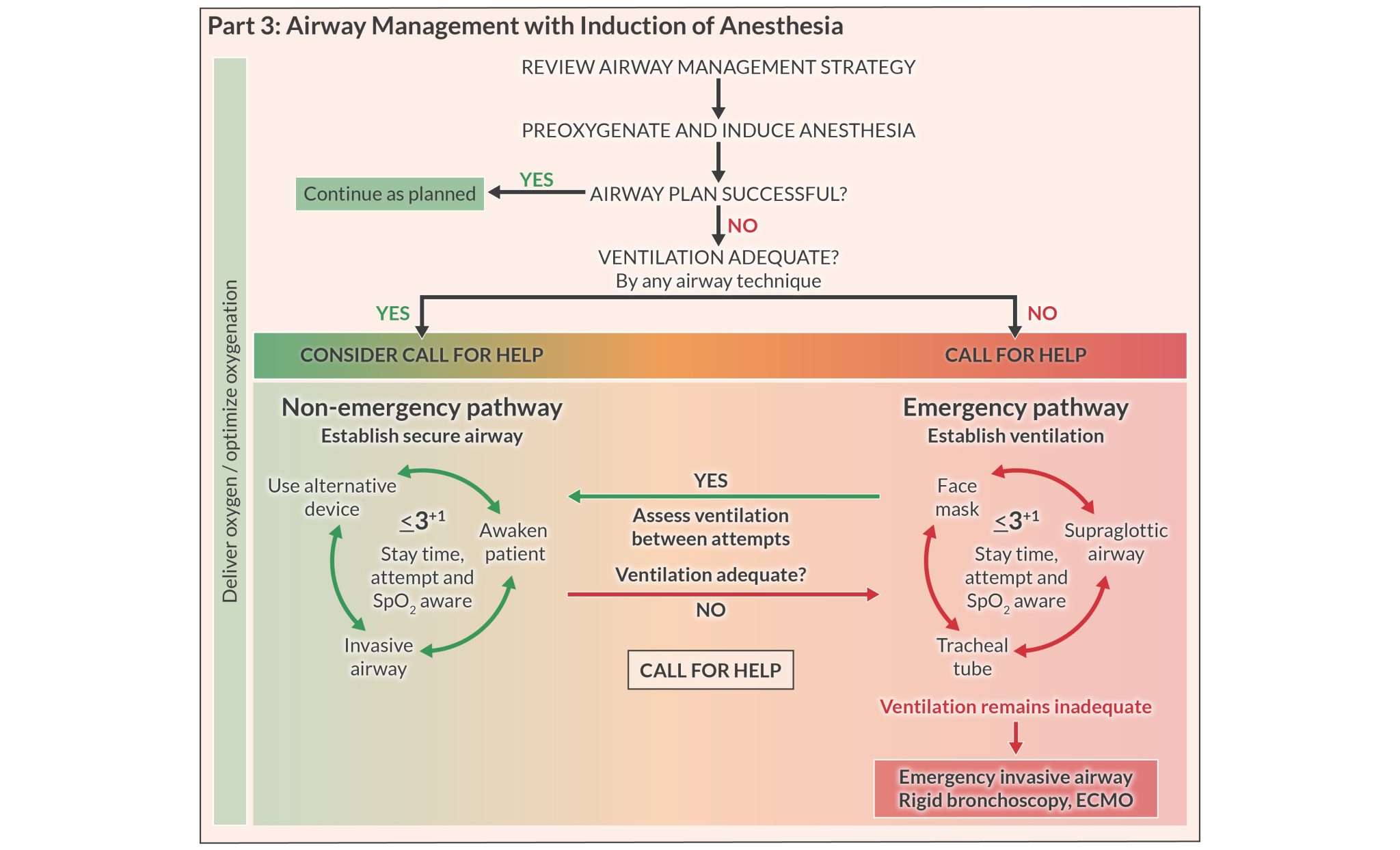 Latest ASA Difficult Airway Algorithm Guidelines: What's New?
