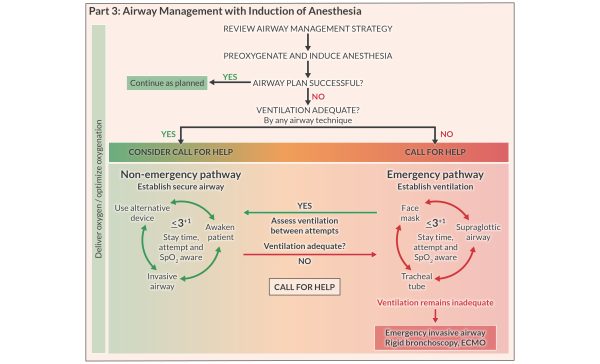 2022 ASA Difficult Airway Algorithm Guidelines: What's New?