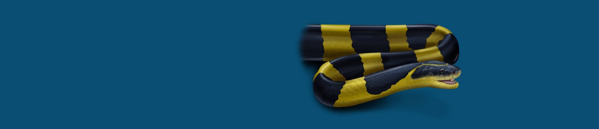 A Tribute to Dr. John Nagelhout and the Life that Inspired